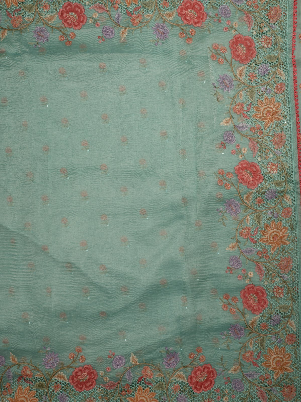 Elevate Your Style with our Light Blue Tissue Organza Silk Saree ...